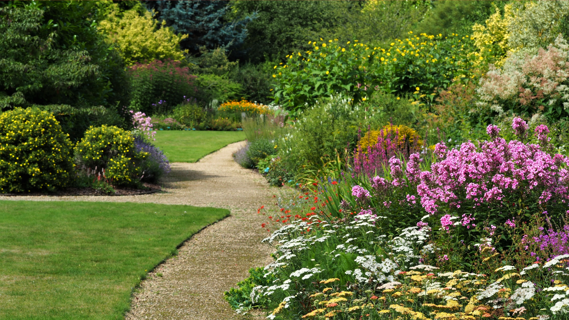 Hollister House Garden: Better Together - Designing with Plant ...
